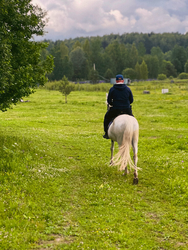 At ve binicilik kulüpleri Частная конюшня Мустанг, İvanovskaya oblastı, foto