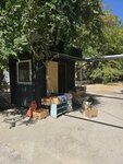 Vegetable and Fruit Sales Kiosk (Aıbergenov kóshesi No:10), manavlar  Çimkent'ten (Şımkent'ten)
