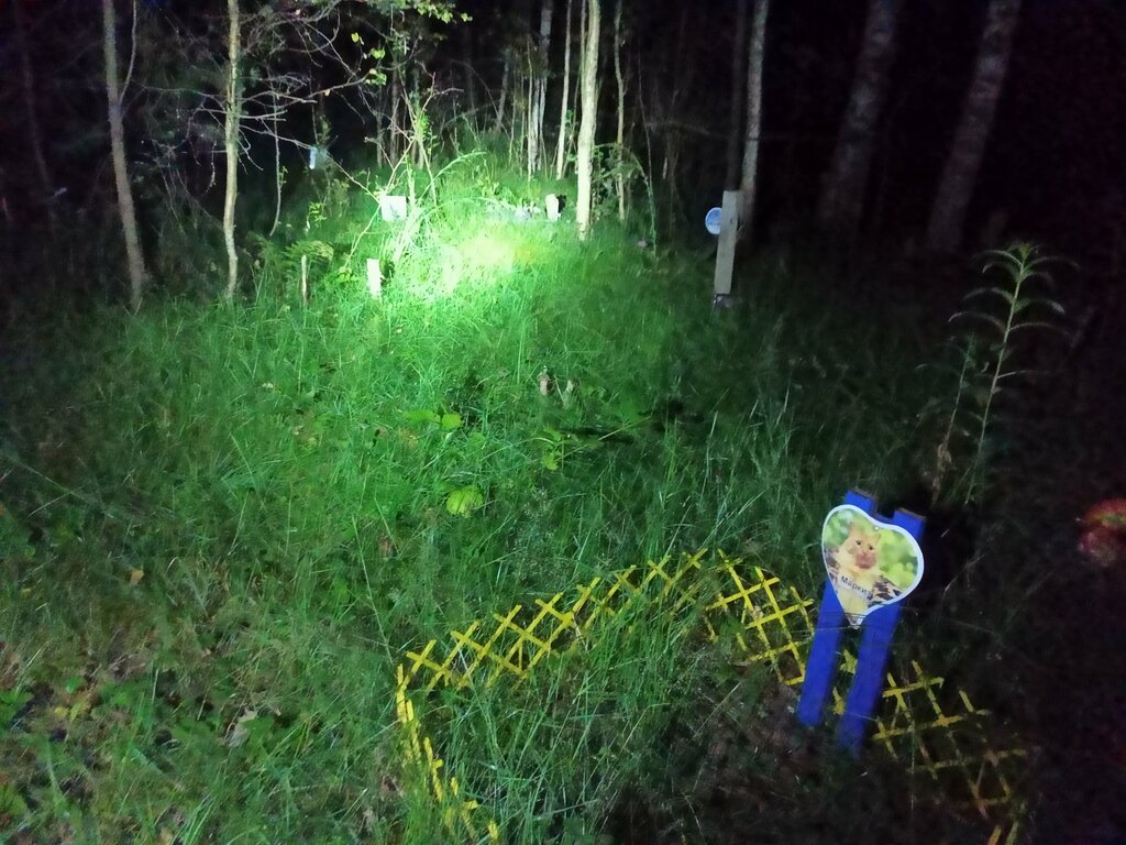 Mezarlıklar кладбище домашних животных, Vladimir, foto