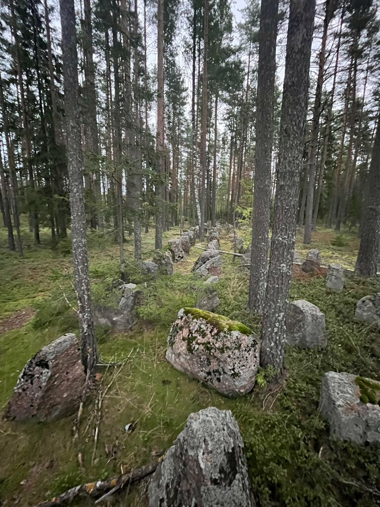 Turistik yerler Гранитные блоки линии Манергейма, Saint‑Petersburg ve Leningradskaya oblastı, foto