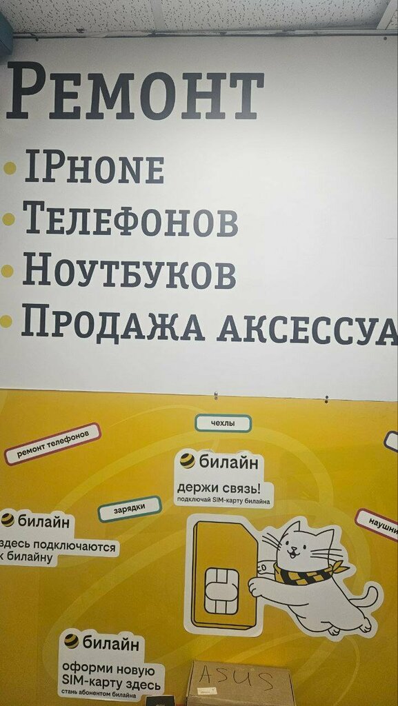GSM operatörleri beeline, Saint‑Petersburg, foto