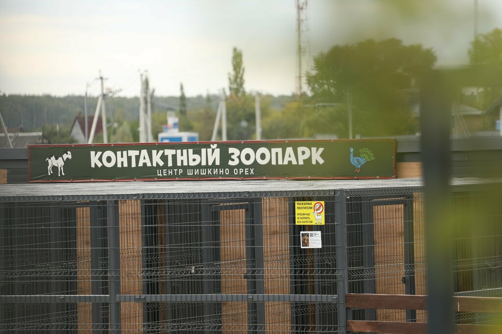 Hayvanat bahçeleri Контактный Зоопарк, Moskova ve Moskovskaya oblastı, foto