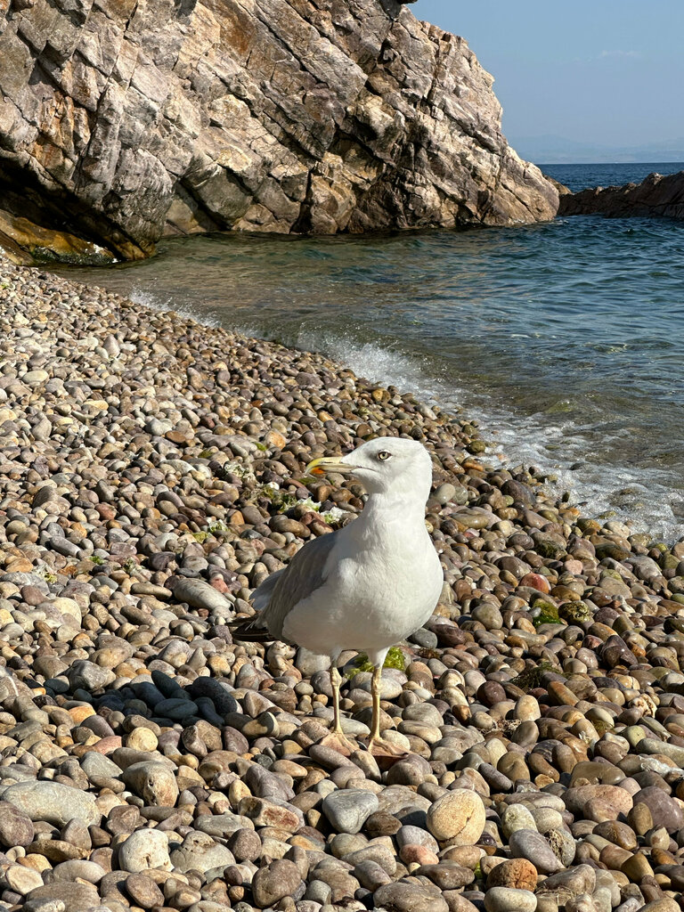 Plaj Plaj, Adalar, foto