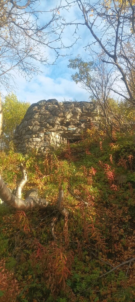Turistik yerler Долговременная замаскированная огневая точка, Zaozersk, foto