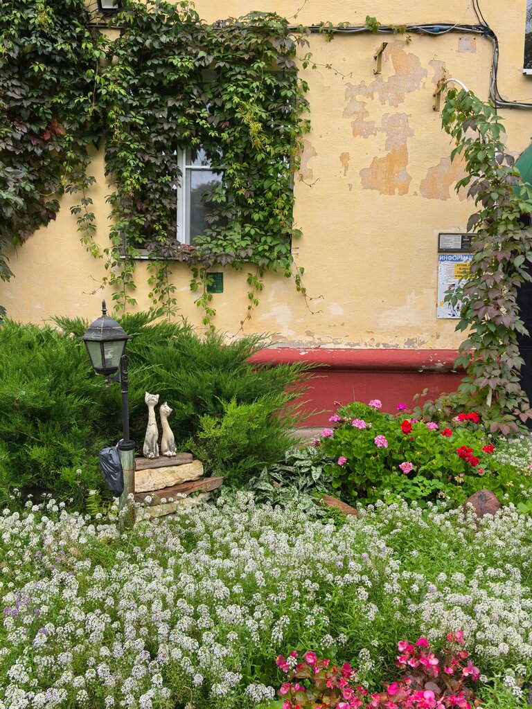 Park, sokak heykeli Коты, Velikiy Novgorod, foto