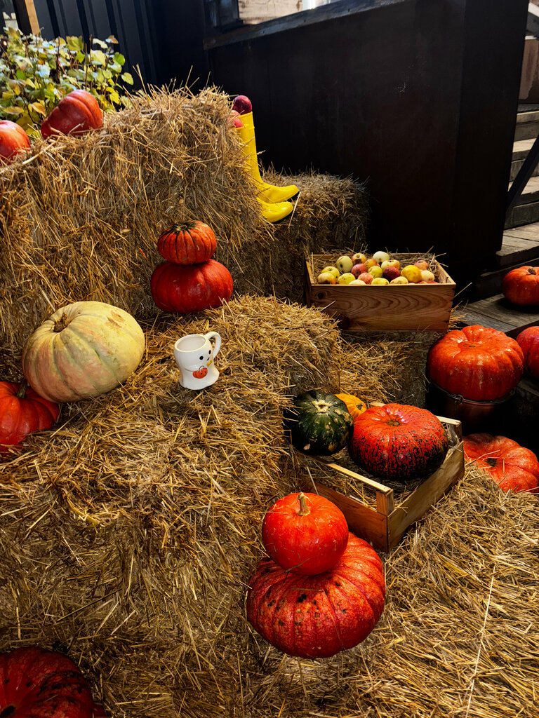 Park, sokak heykeli Лодка, Magnitogorsk, foto