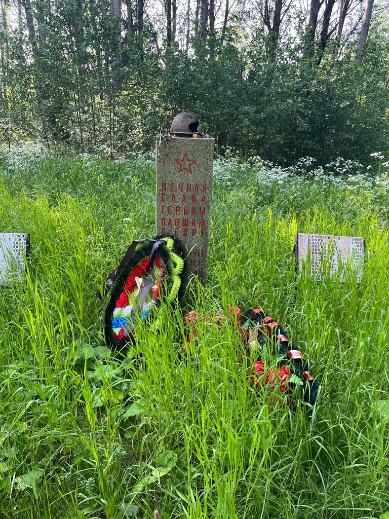 Anıt, heykel Братская могила воинов Советской Армии, Novgorodskaya oblastı, foto