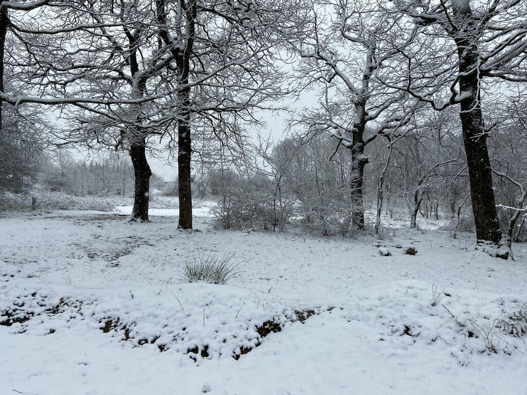 Su satışı Suada su doğanın armağanı, İstanbul, foto