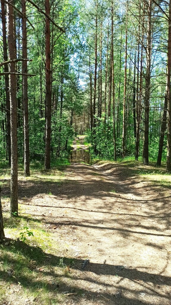 Plaj Пляж, Minskaya oblastı, foto