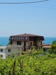 Гостевой дом Алладин (Ogorodny pereulok No:241, posyolok Vardane), otel  Soçi'den