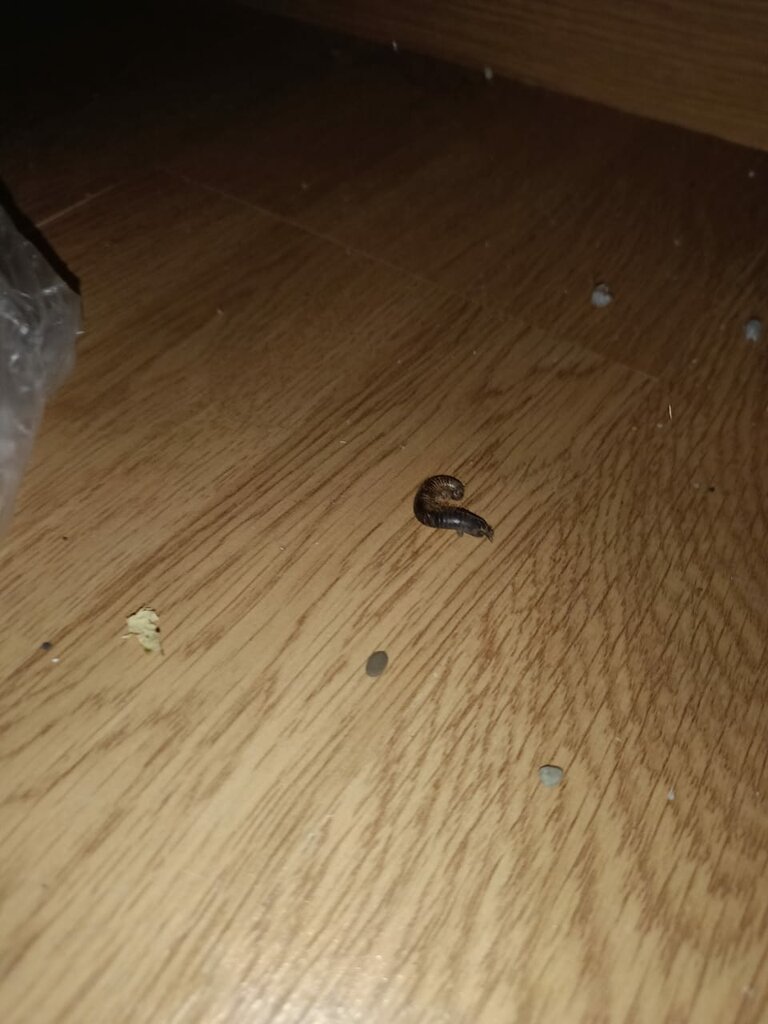 Konuk evi Gostevoi dom Na Urickogo 9, Aluşta, foto