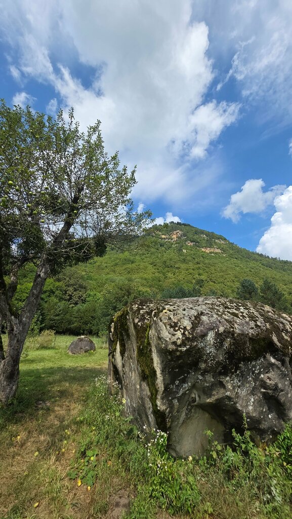 Arkeolojik sit alanı Археологический парк Мэзытха, Adıge Cumhuriyeti, foto