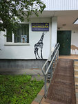 Груминг (Vernadskogo Avenue No:93к1), evcil hayvan kuaförleri  Moskova'dan