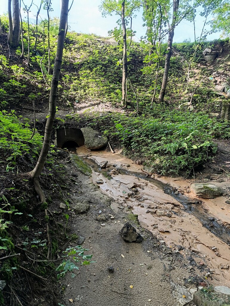 Pınar, çay Spring, stream, Moskova, foto