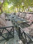 Zaytun (No:649, Guliston mavzesi), restoran  Nevai'den