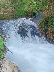 Waterfall (Leningrad Region, Lomonosovskiy District, Orzhitskoye selskoye poseleniye, Levalovskiy ruchey), şelale  Saint‑Petersburg ve Leningradskaya oblastından