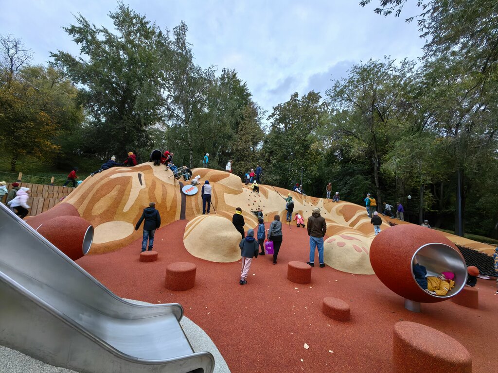 Oyun alanı Кот, Moskova, foto