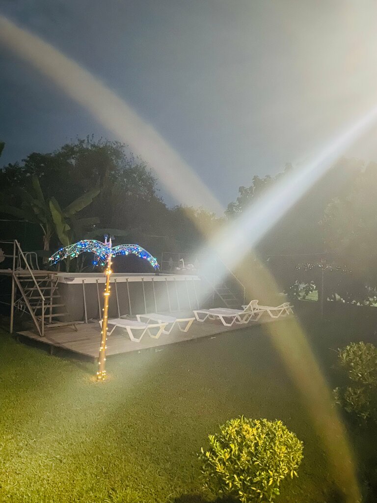 Otel Бамбук, Gagra Bölgesi, foto