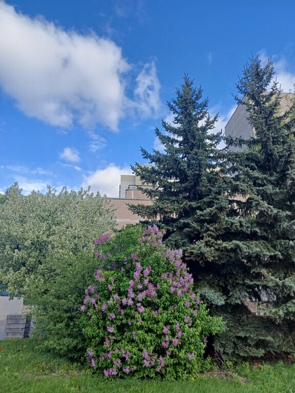 Sağlık kontrolleri ВВК ФКУЗ МСЧ МВД России по г. Москве, Moskova, foto