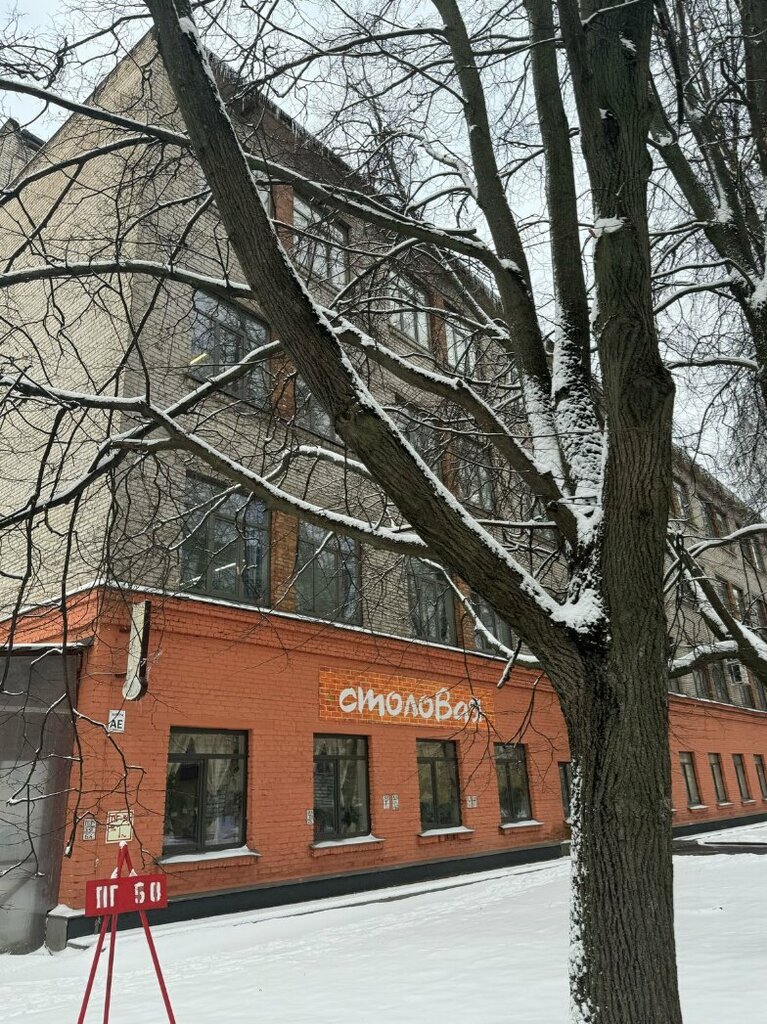 Lamba ve avize mağazaları DC-Light, Saint‑Petersburg, foto