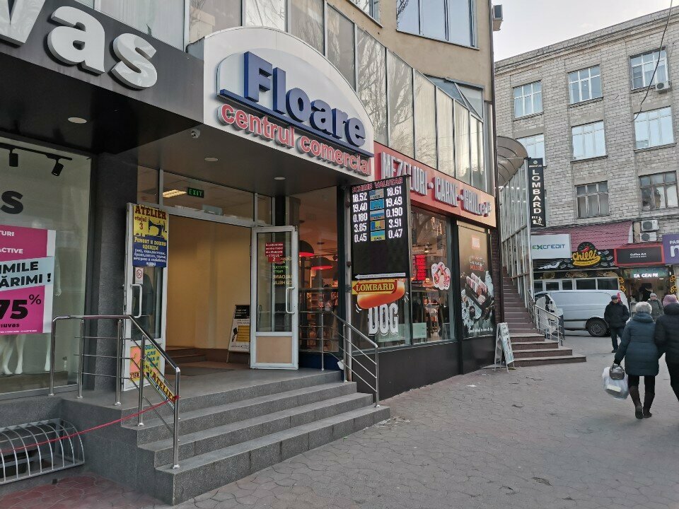 Göçmen büroları RoSolutions Acte Romanesti, Kişinev, foto