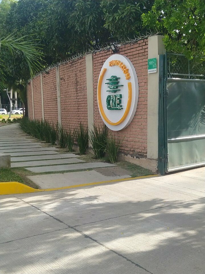 Sivil toplum kuruluşları Cre Foundation, Santa‑Krus, foto