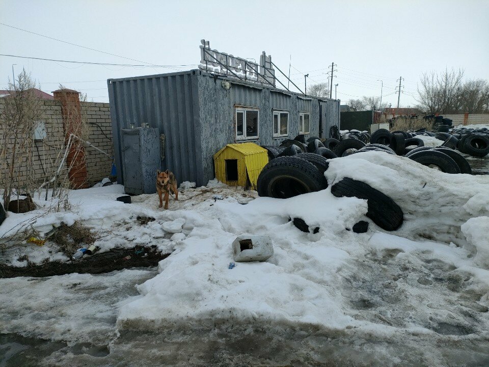 Oto lastik tamiri Cargo tire service, Aktöbe, foto