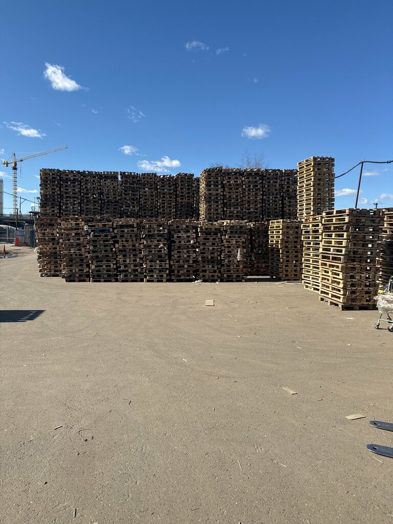 Paletler Поддоны, паллеты, Moskova ve Moskovskaya oblastı, foto