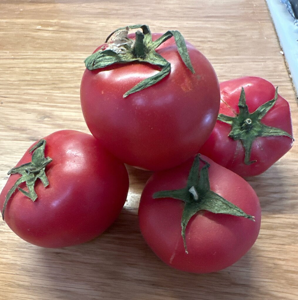 Manavlar Ovoshchi-frukty, Moskova, foto