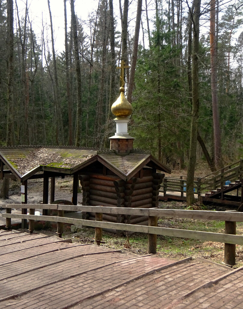 Pınar, çay Spring, stream, Moskova ve Moskovskaya oblastı, foto