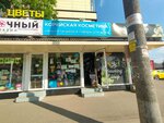 Atomy Атоми (Burgas Street No:37/6, Tsentralniy City administrative district, mikrorayon Cheryomushki), asya ürünleri mağazası  Krasnodar'dan