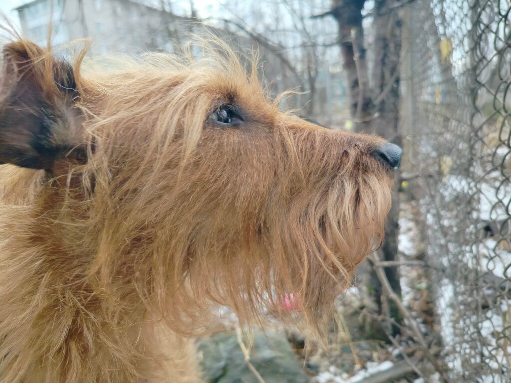 Oyun alanı Playground, Kuşva, foto