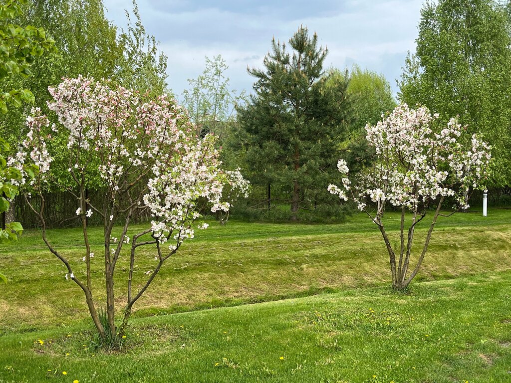 Kültür ve eğlence parkları Новорижский сквер, Moskova ve Moskovskaya oblastı, foto
