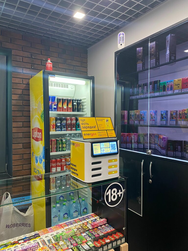 Şarj cihazı kiralama Energo, Moskova, foto