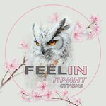 Print-studio Feelin (ulitsa Lomonosova No:17), t-shirt baskı  Pavlovo'dan