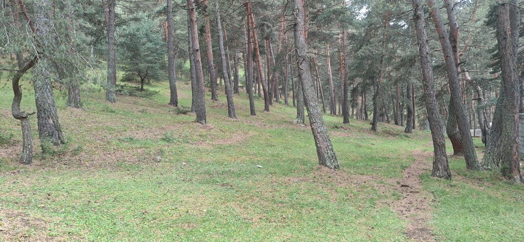 Yaz kampı Гажари, Dağıstan, foto