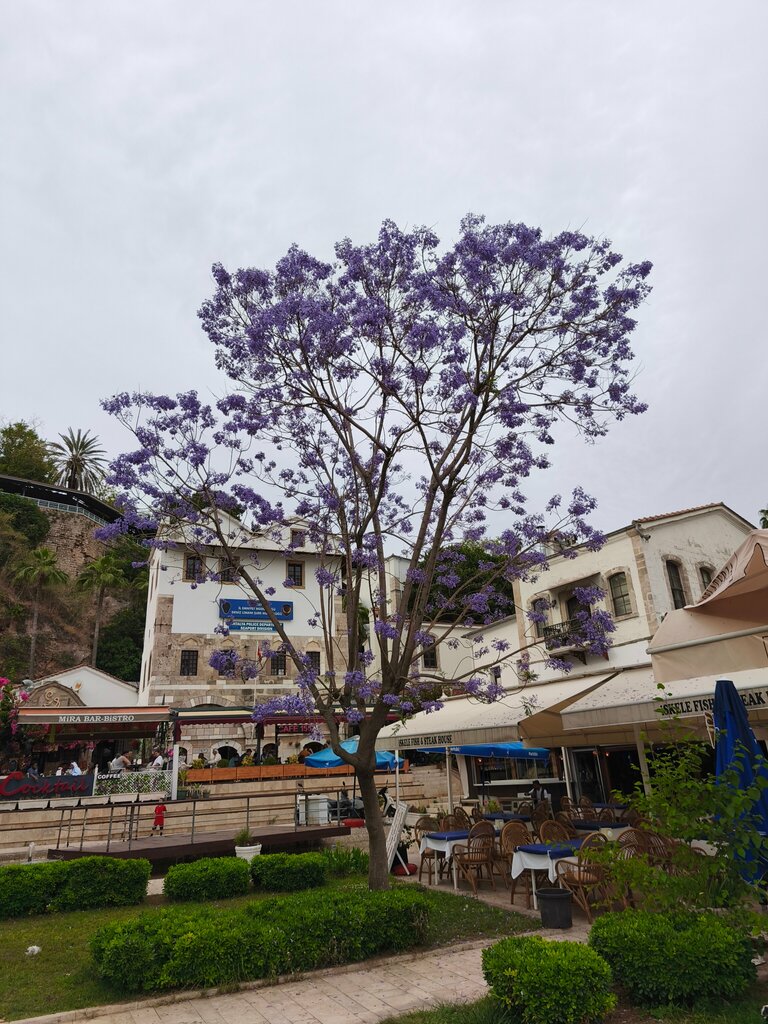 Restoran The Old Inn Restaurant&Bar, Antalya, foto