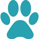 Safepets (Frunze Street No:5), petshop  Novosibirsk'ten