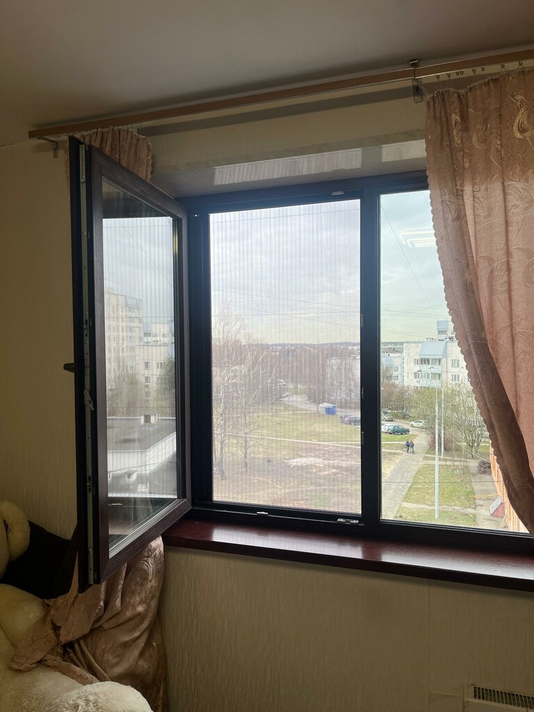 Sineklik Okonnyi service, Moskova, foto