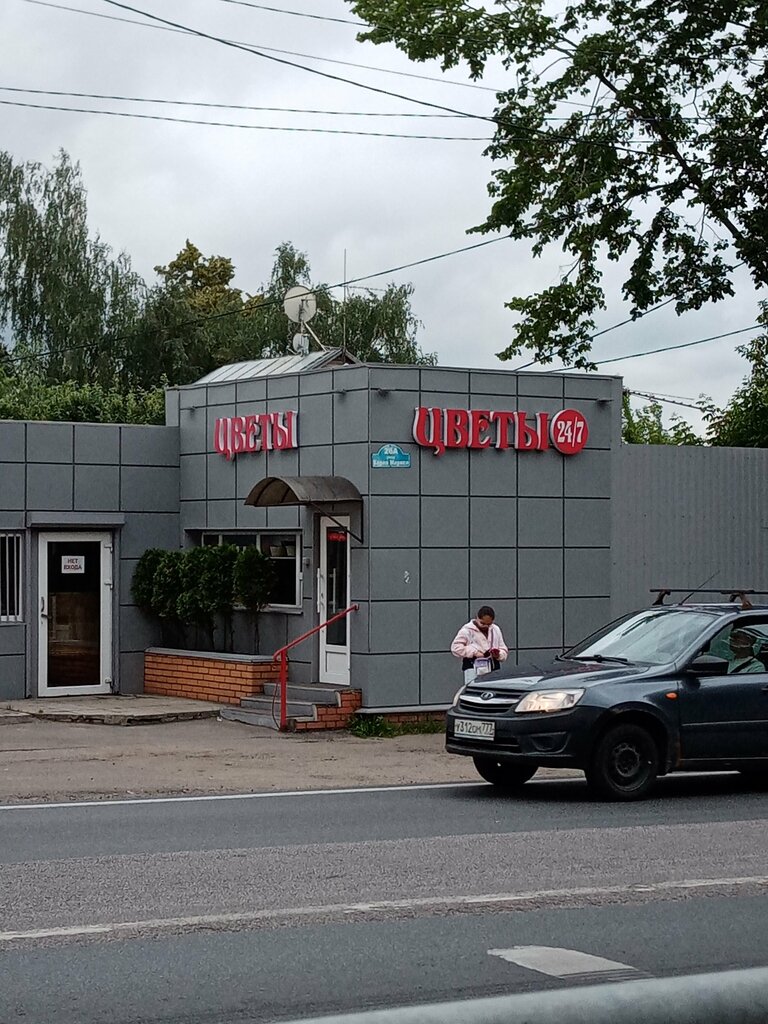 Çiçekçiler Ip Kvavadzem, Moskova ve Moskovskaya oblastı, foto