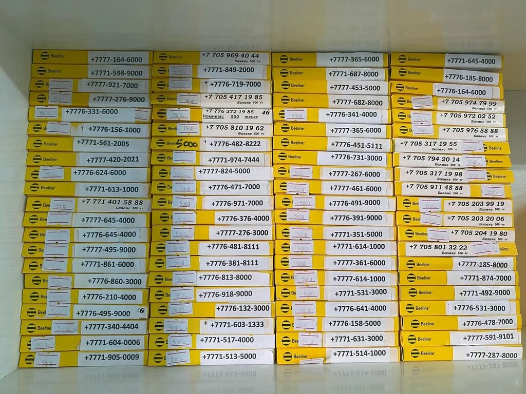 GSM operatörleri Akzhol, Türkistan eyaleti, foto