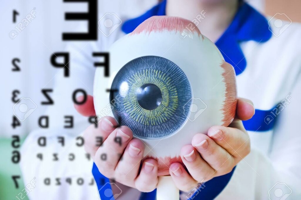 Optik Oftalmólogo Gustavo Romero, Kito, foto