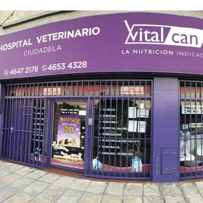 Evcil hayvan kuaförleri Hospital Veterinario Ciudadela - Clínica - Cirugía - Especialidades, , foto