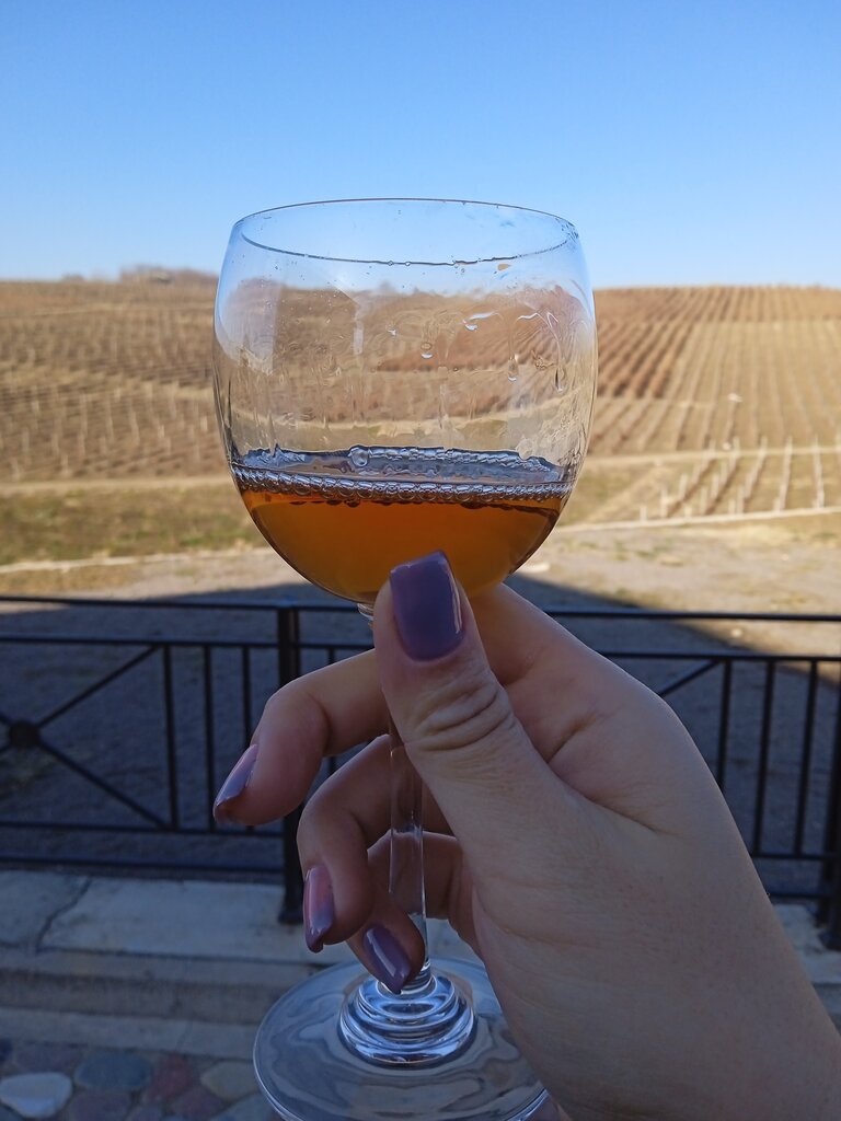 Otel Cruchon Winery, Taşkent eyaleti, foto