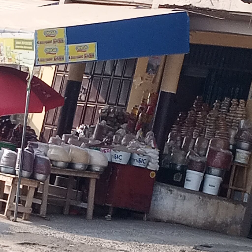 Gıda malzemeleri ve baharatlar Givers never lack seed store, Dünya, foto