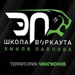 Emil Pavlov's Workout School (Kuybysheva Street No:23), spor okulları  Penza'dan