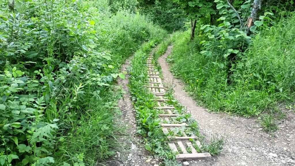 Pınar, çay Spring, stream, Tataristan, foto