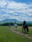 Vladimirovka Horse farm (Tsentralnaya ulitsa No:2/1, stanitsa Ubinskaya), at ve binicilik kulüpleri  Krasnodarski krayından
