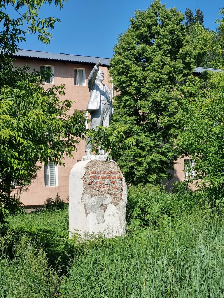 Anıt, heykel V.I. Lenin, Tomsk, foto
