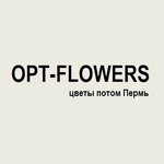 Opt-flower (Tramvaynaya Street No:12к11), çiçekçiler  Perm'den